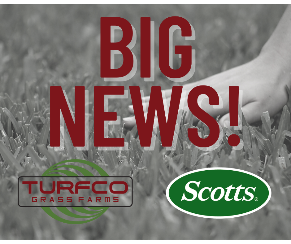 Big News! – Turfco Grass Co, Inc