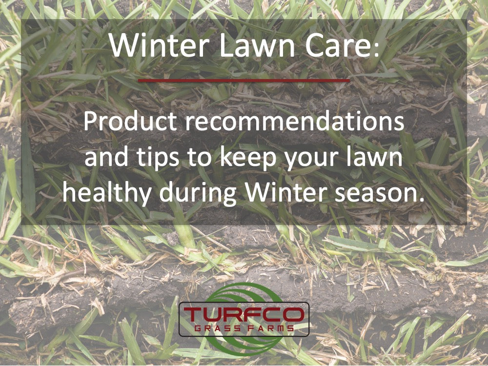 Tips to Keep Your Lawn Healthy In Winter – Turfco Grass Co, Inc