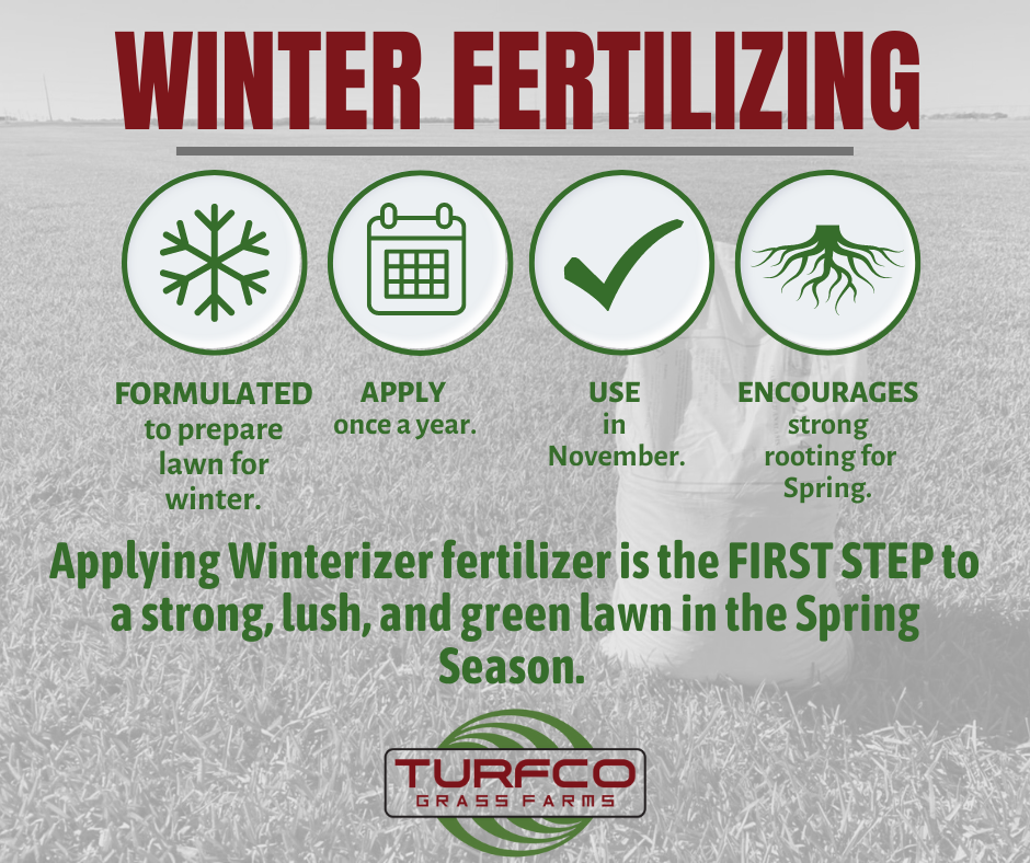Winterizer and Why Your Lawn Needs It! – Turfco Grass Co, Inc
