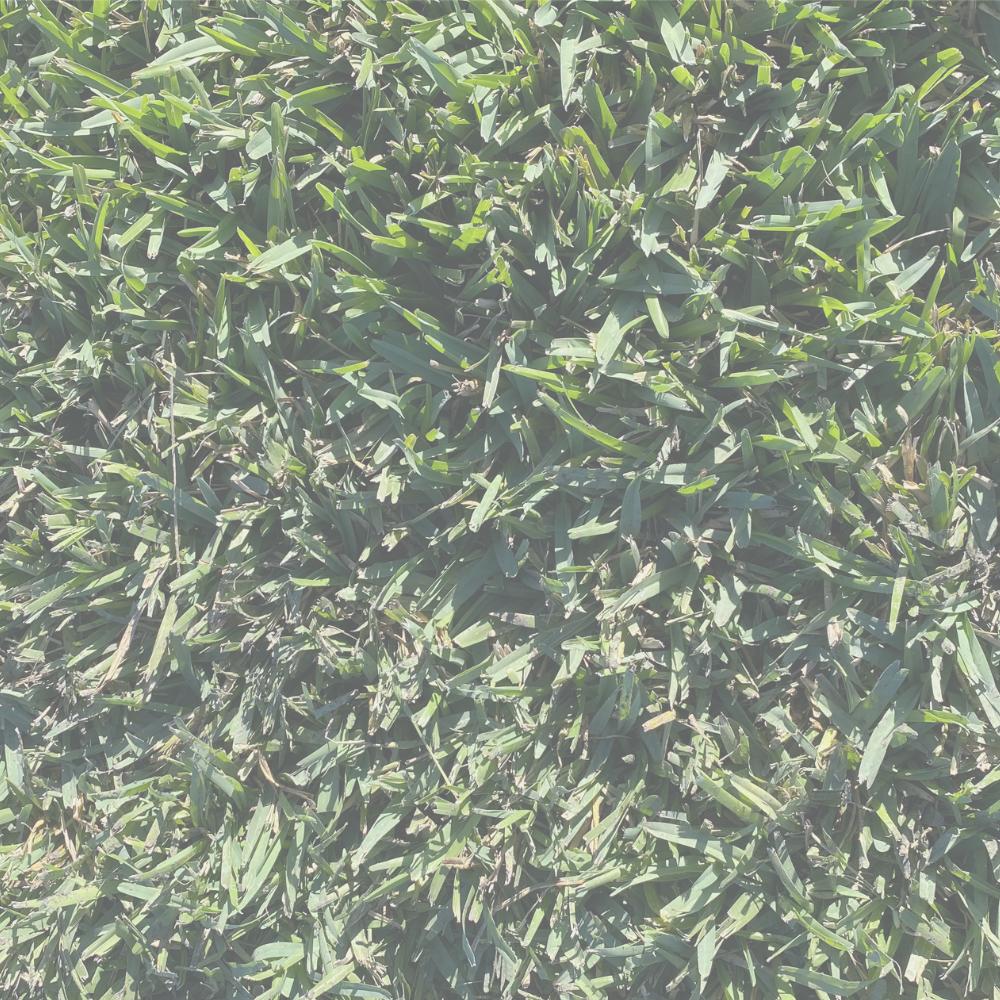Accessories – Turfco Grass Co, Inc